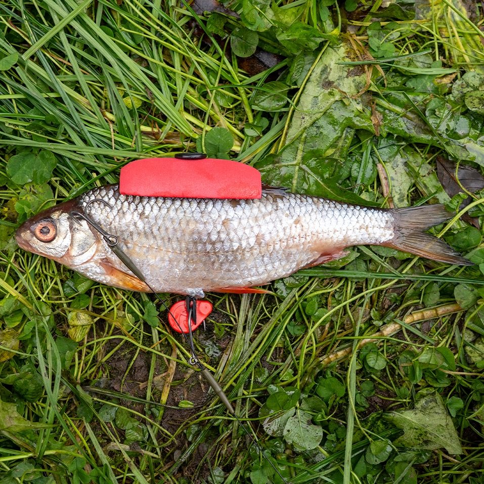 Rucksack Float | ZECK FISHING