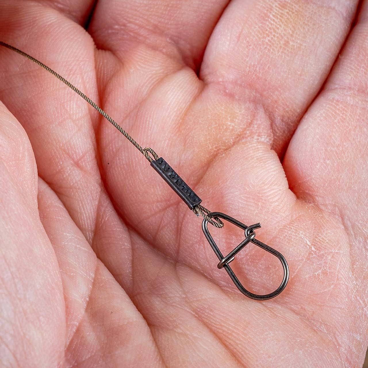 Egg Snap DL | ZECK FISHING