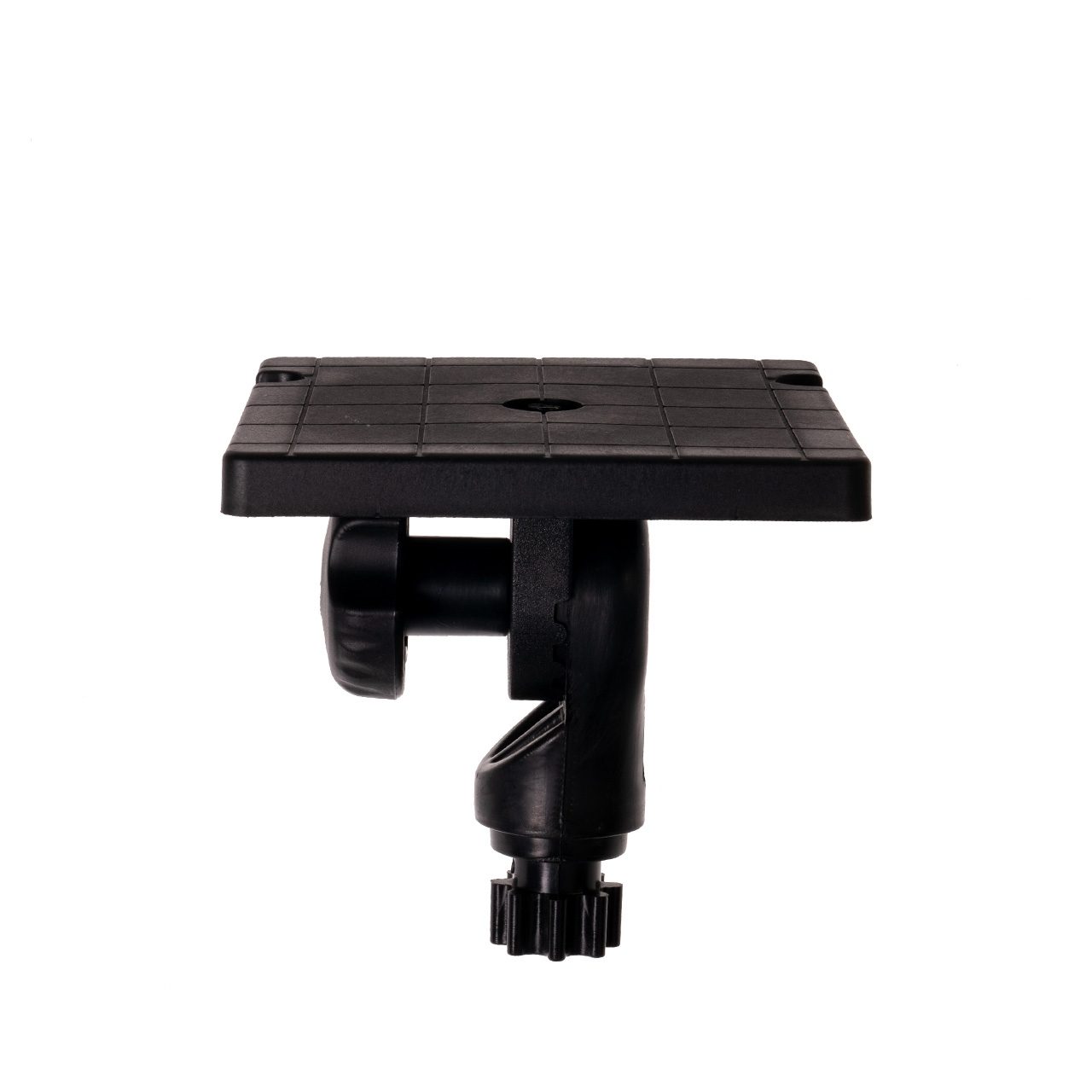 Belly Cat | ZECK FISHING